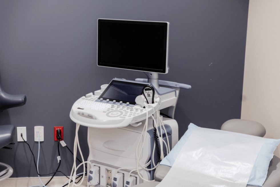 Pet Ultrasound In Orlando FL | Pine Castle Animal Care Center